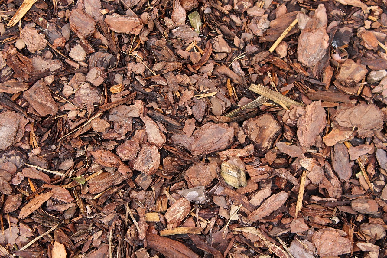 10 Tipos de Sustrato para Plantas + Fotos y para qué sirven